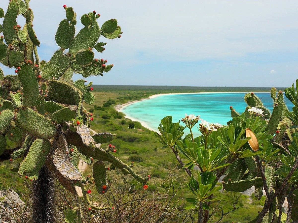Pedernales Una Joya Turistica » RadarSD